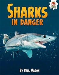 Shark…...Sharks in Danger