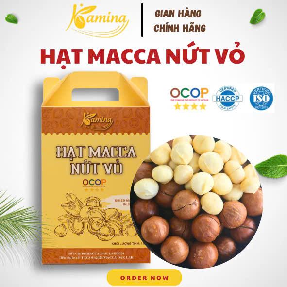 Hạt Macca Nứt Vỏ – CÔNG TY TNHH MACCA ĐẮK LẮK