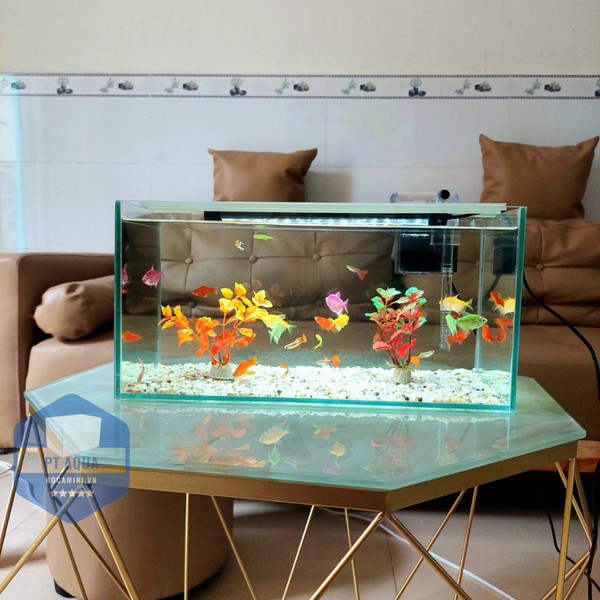 Bể cá mini để bàn 40cm COMBO C30WHITE – Thiết bị hồ cá