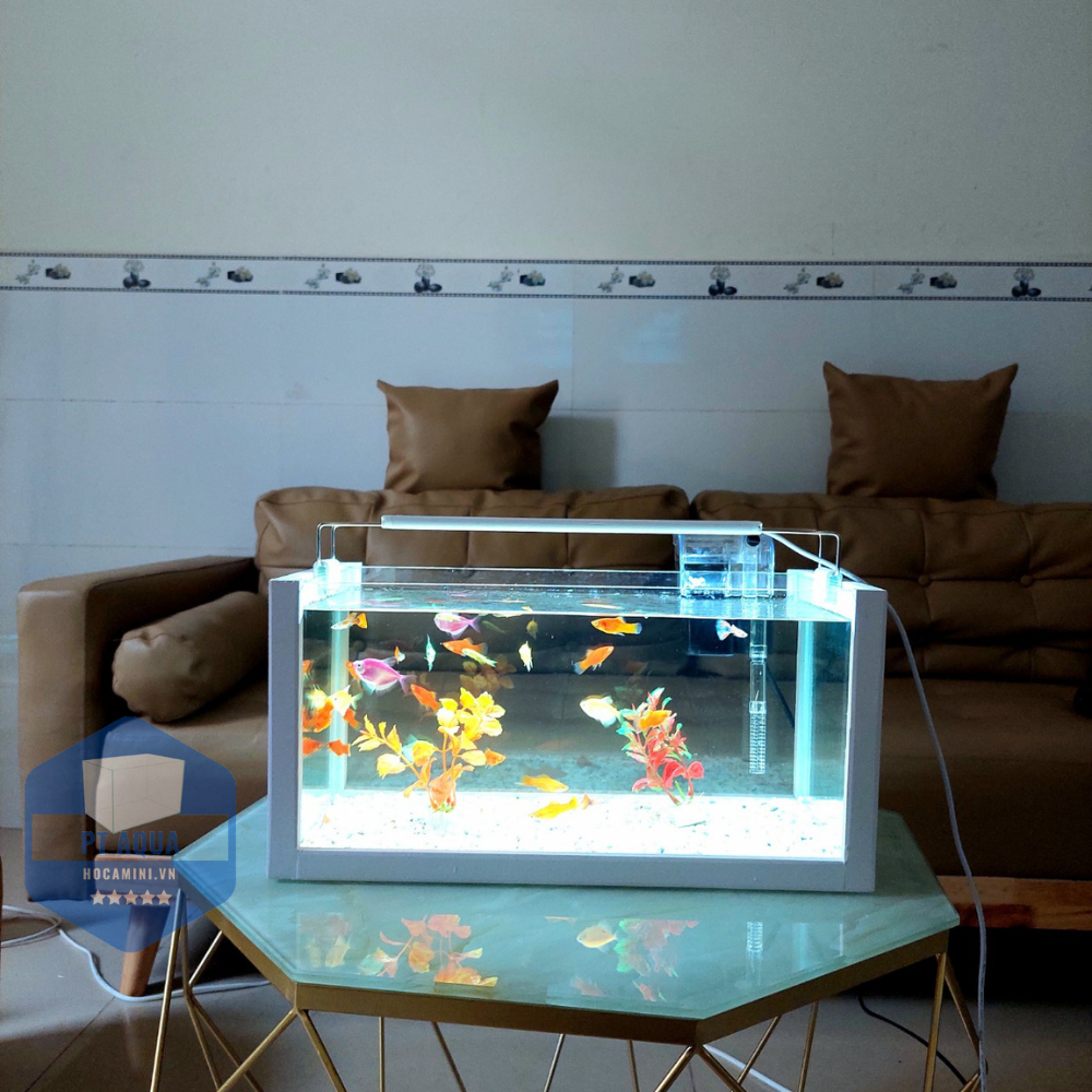 Bể cá mini để bàn 40cm COMBO WHITE có Khung – Thiết bị hồ cá