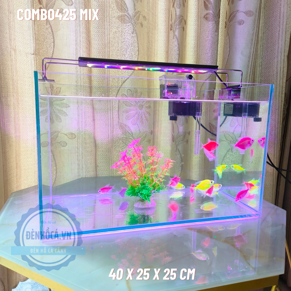 Bể cá mini để bàn D40*R25*C25 COMBO425 MIX – Thiết bị hồ cá