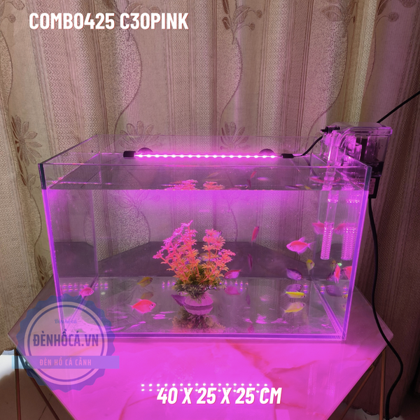 Bể cá mini để bàn D40*R25*C25 COMBO425 C30PINK – Thiết bị hồ cá