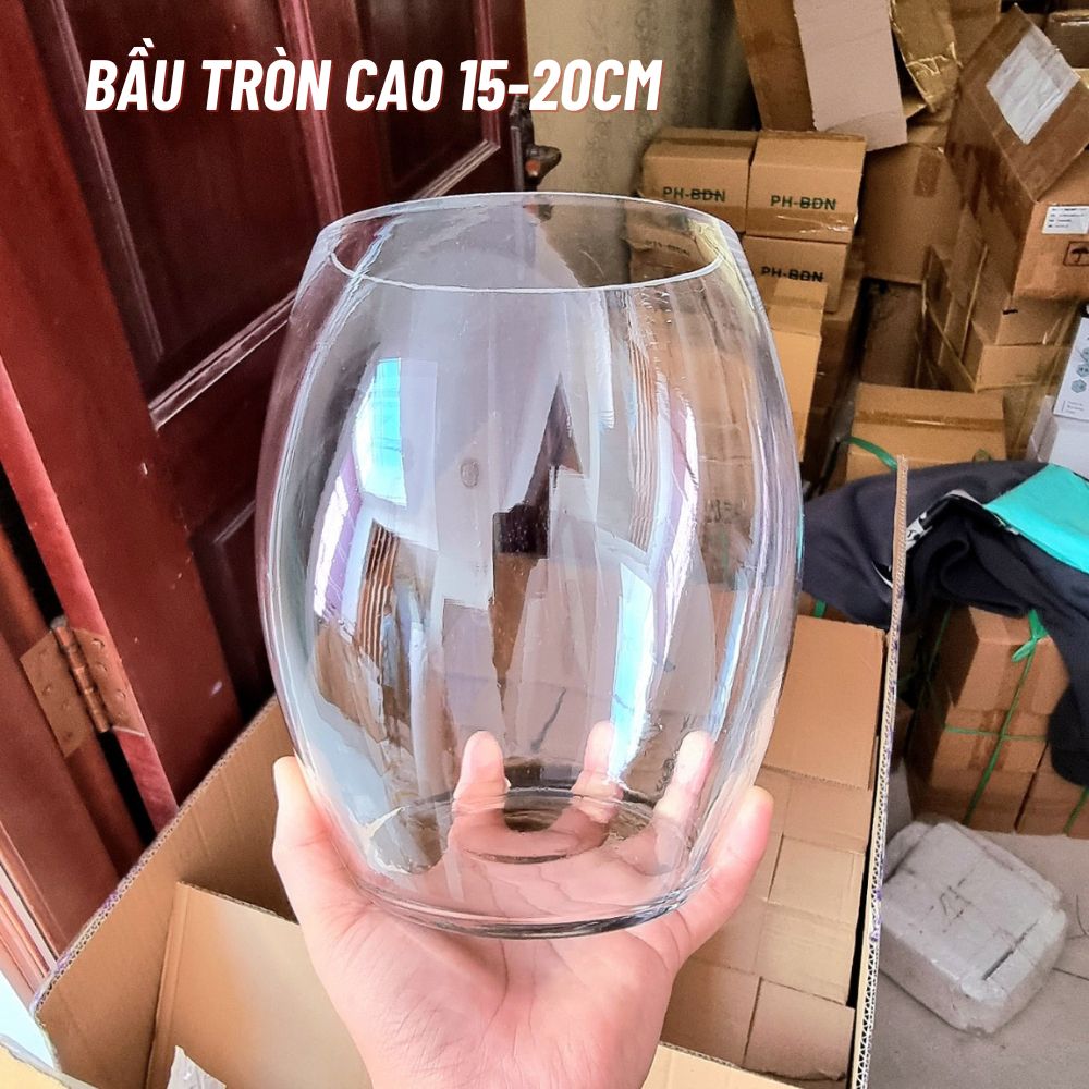 Chậu Thủy tinh Bầu Tròn Cao 15 - 20 - 25cm để bàn thích hợp trồng cây – Thiết bị hồ cá