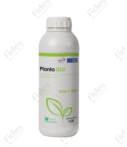 Planta GLU – Fides Agriculture