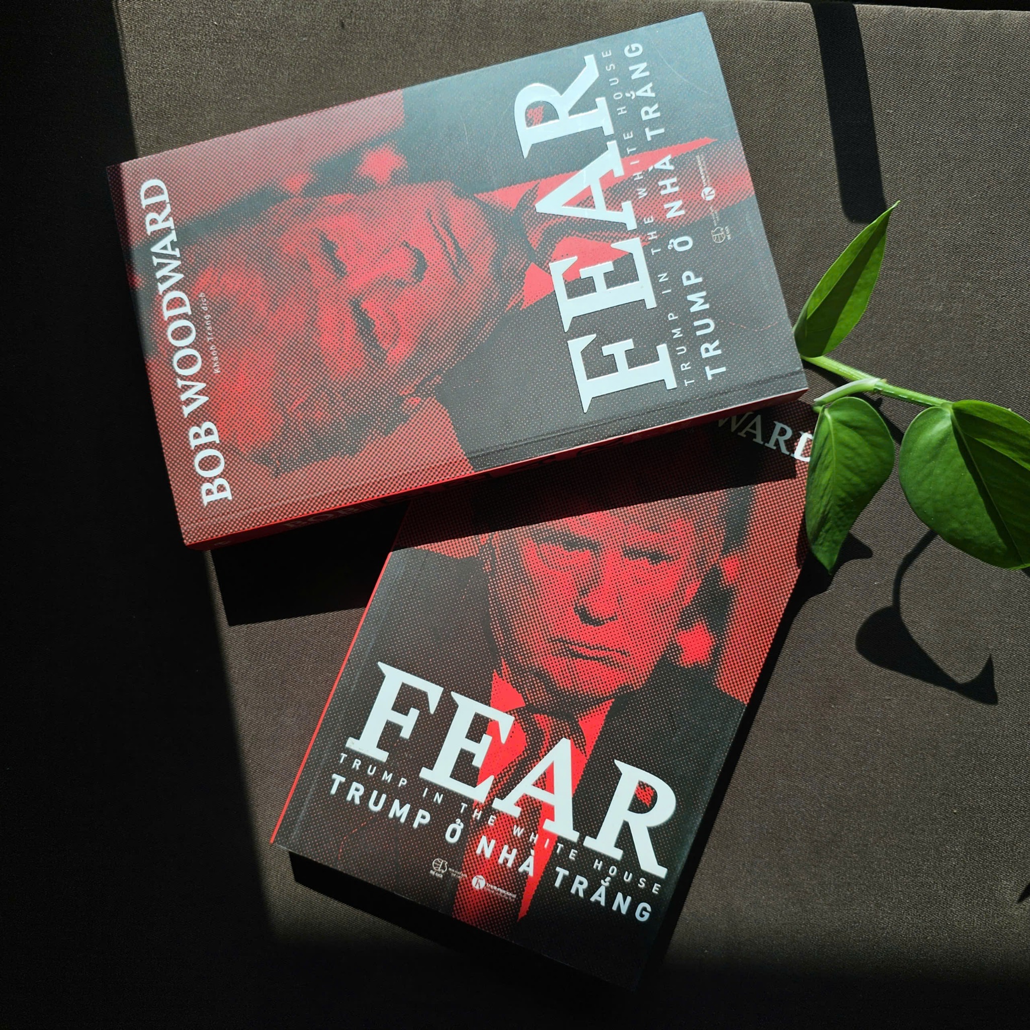 Fear: Trump ở Nhà TrắngFear: Trump ở Nhà Trắng – Thái Hà Books