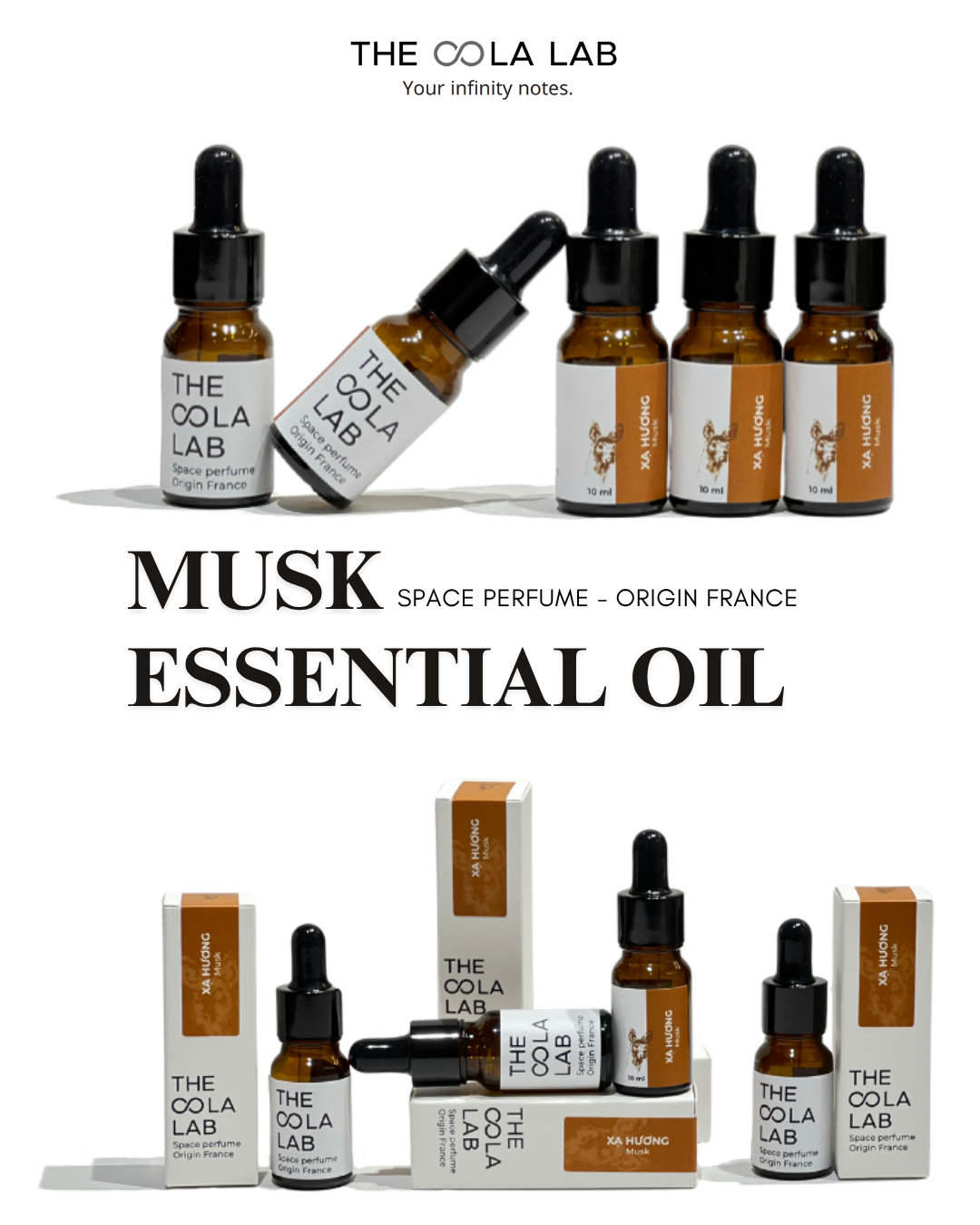 Musk Essential Oil - Space Perfume – The OOla Lab Ha Noi