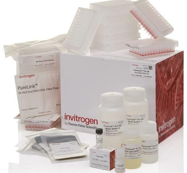 PureLink™ Microbiome DNA Purification Kit