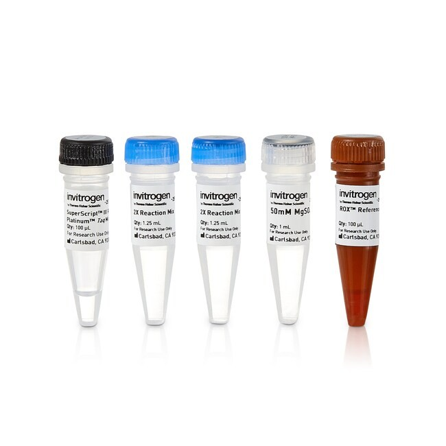 SuperScript™ III Platinum™ One-Step qRT-PCR Kit