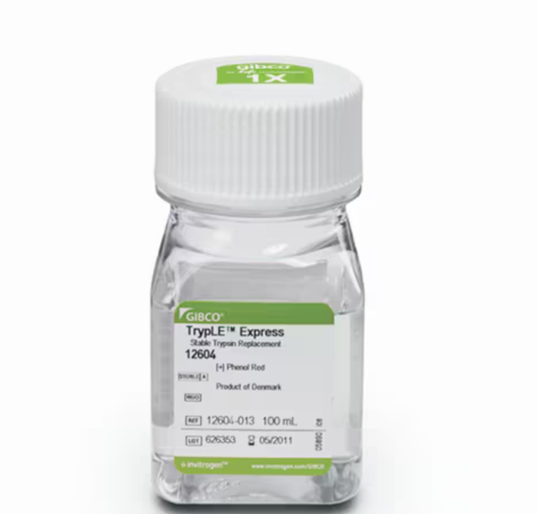 TrypLE™ Express Enzyme (1X), no phenol red