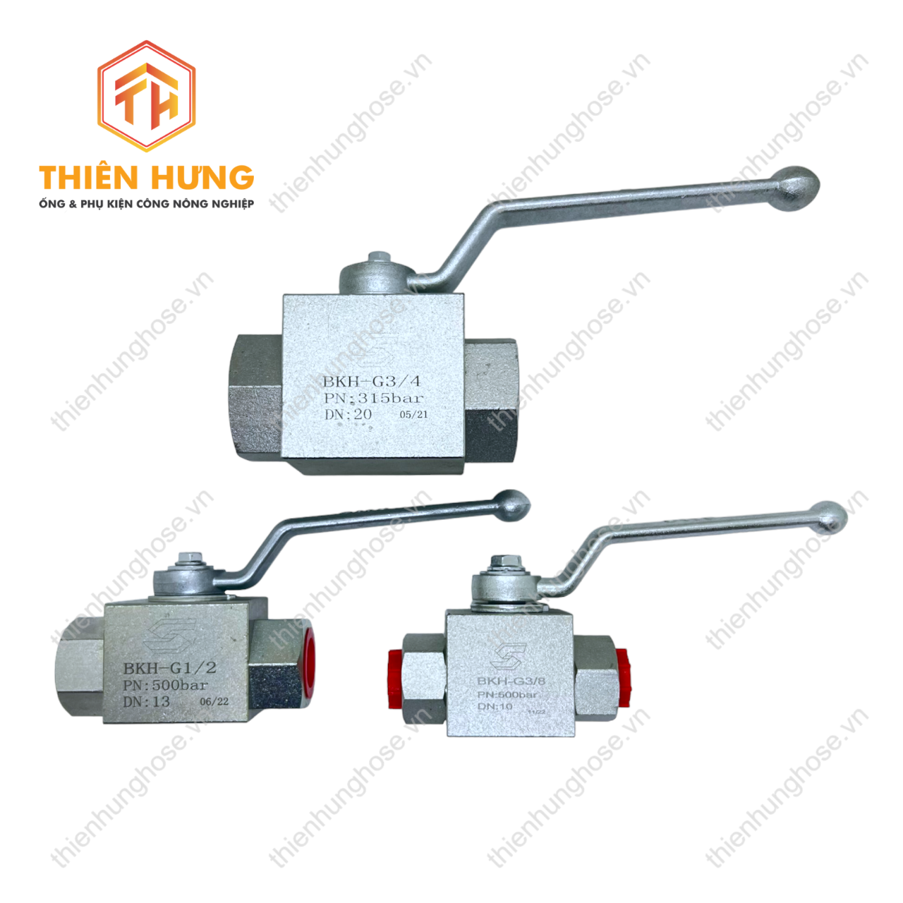 Van bi thuỷ lực 2 ngã áp lực cao Saintfon BKH