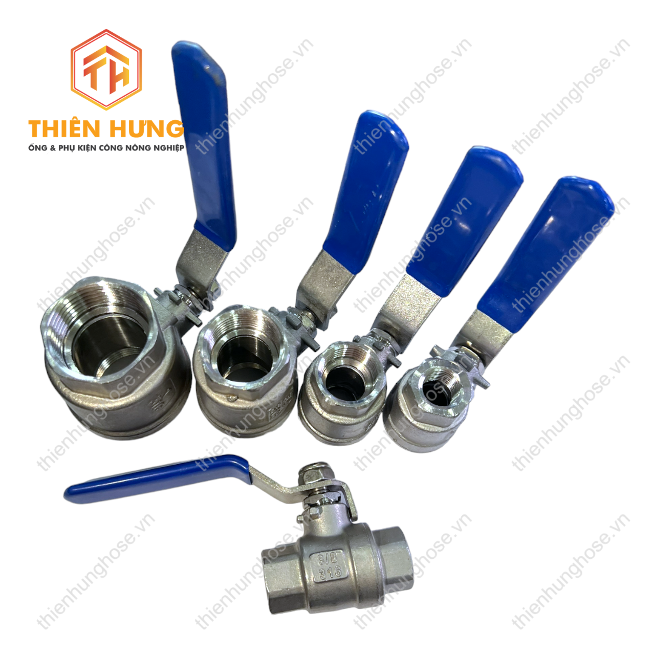 Van Bi Inox 316 - Khóa Gạt Ren Trong