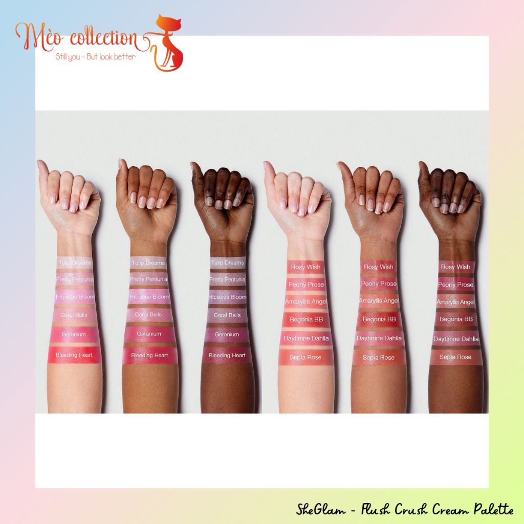 Bảng màu má hồng dạng kem SheGlam - Flush Crush Cream Palette 6 ô 12gr – meo.collection
