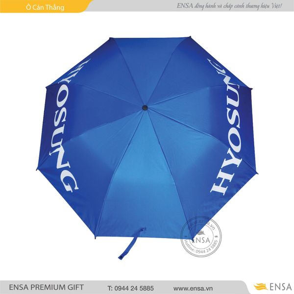 Ô GẬP 2 TỰ ĐỘNG 1 CHIỀU 01 (HYOSUNG) – ensa
