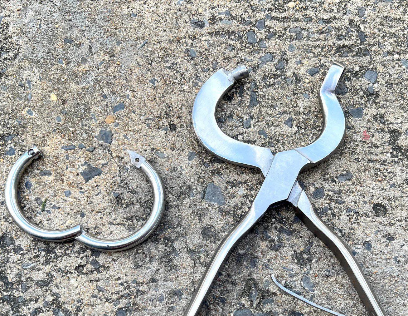 Kìm bấm lỗ mũi bò – Thiết bị thú y - TRẦN GIA AGRI