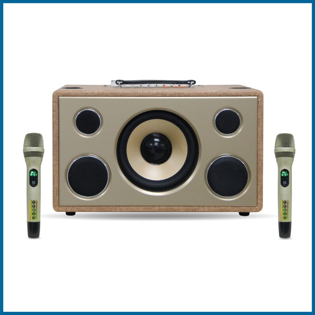 LOA KARAOKE VHM XÁCH TAY 8V5S XANH/NÂU/DA BÒ – Showroom Thanh Hà Audio