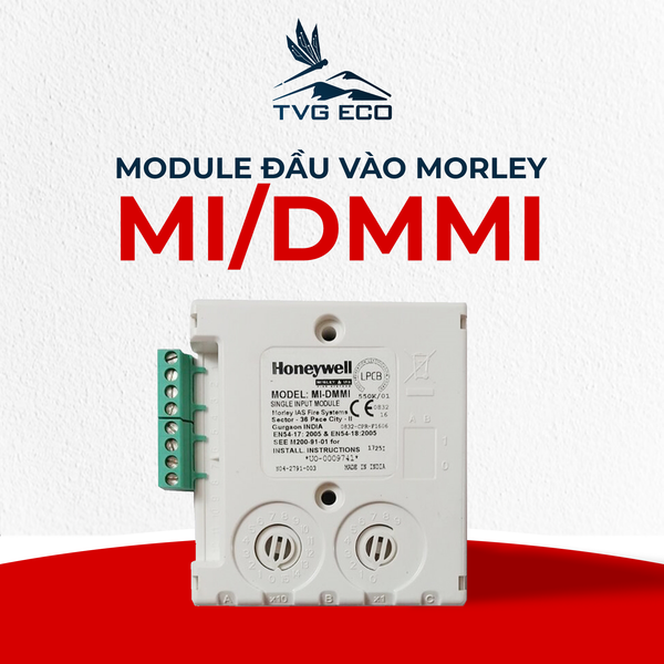 Module đầu vào Morley MI/DMMI – ecotvg