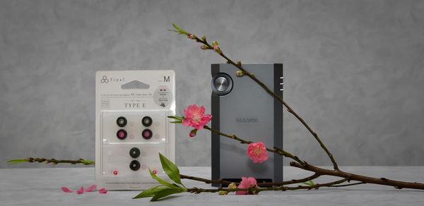 Final Tips Type E Size M (1 cặp) – SVHouse - www.Loa.vn