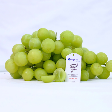 NHO XANH MỸ – BeryBee