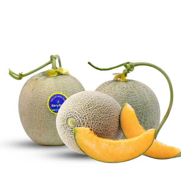 DƯA LƯỚI VIỆT GAP – BeryBee