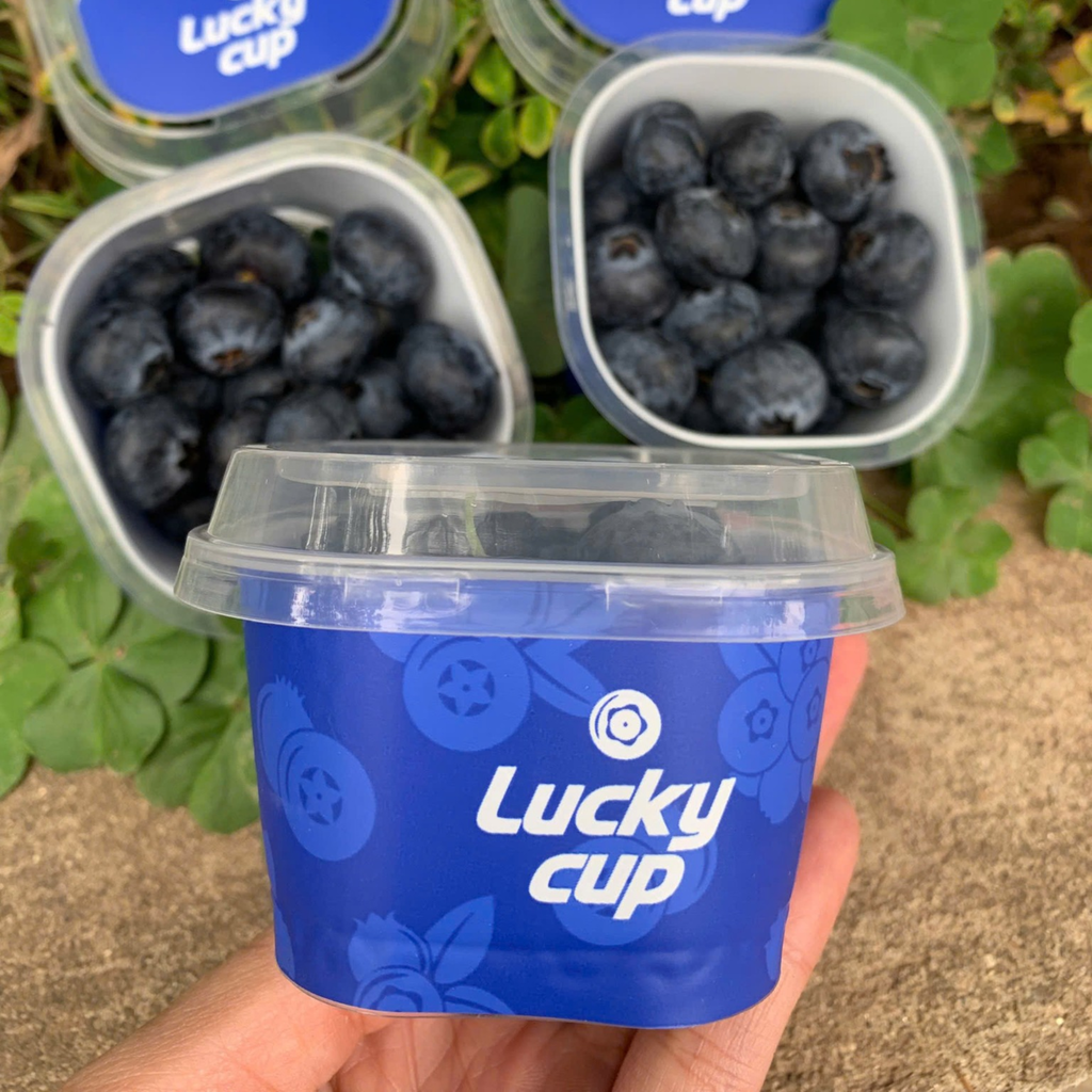 Việt Quất Lucky Cup – CHUỖI SIÊU THỊ TRÁI CÂY & THỰC PHẨM CAO CẤP