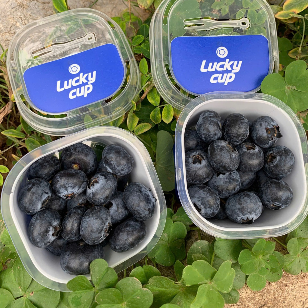 Việt Quất Lucky Cup – CHUỖI SIÊU THỊ TRÁI CÂY & THỰC PHẨM CAO CẤP