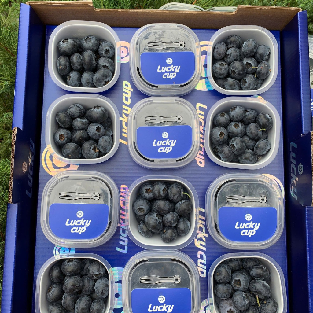 Việt Quất Lucky Cup – CHUỖI SIÊU THỊ TRÁI CÂY & THỰC PHẨM CAO CẤP