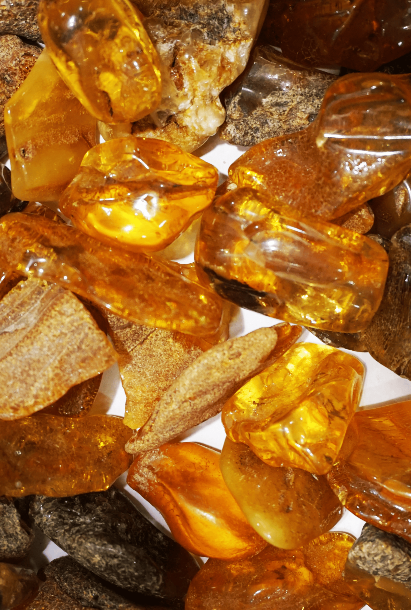 Amber Core (KAO) – Nezéum