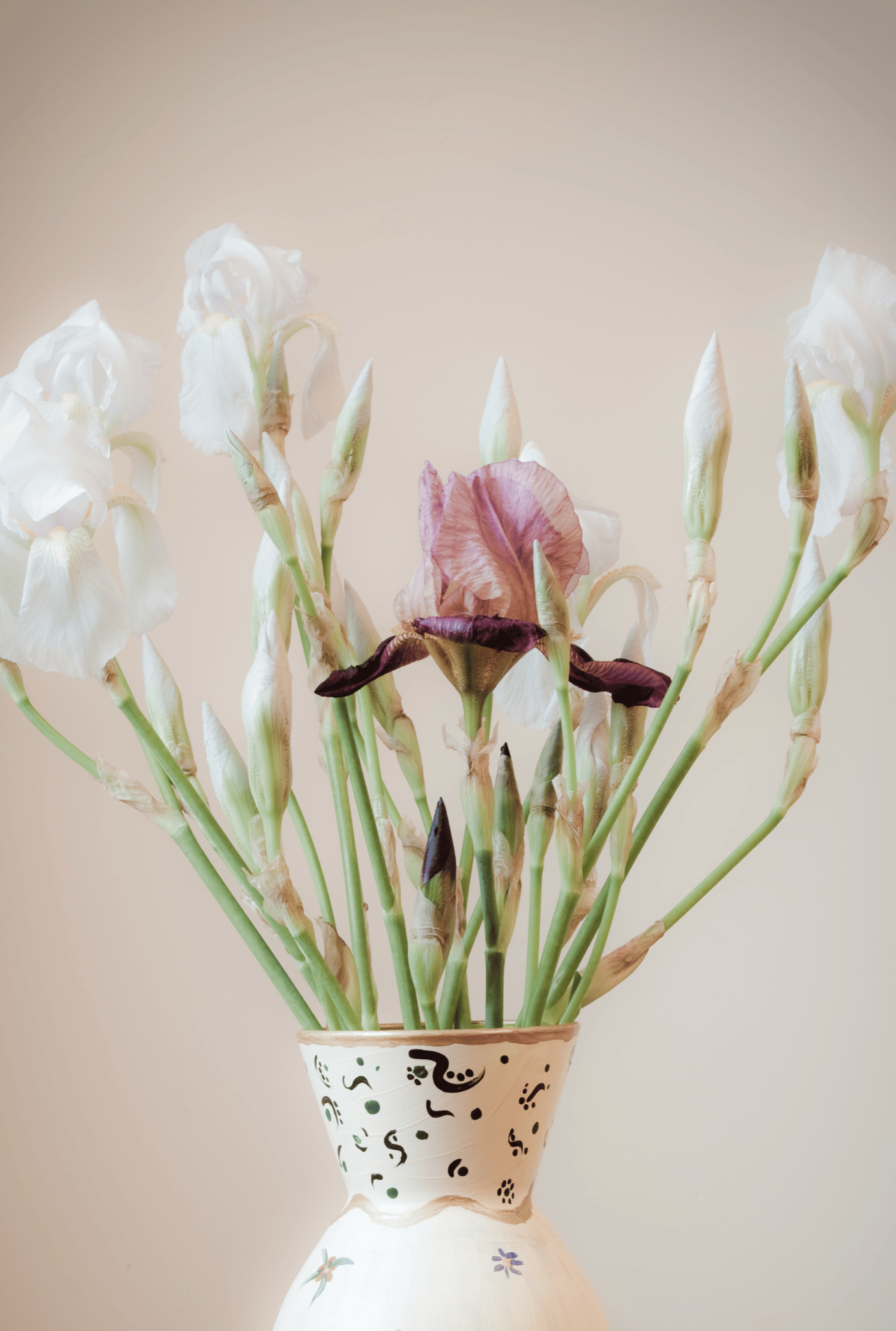 French Iris 111132 (Robertet) – Nezéum