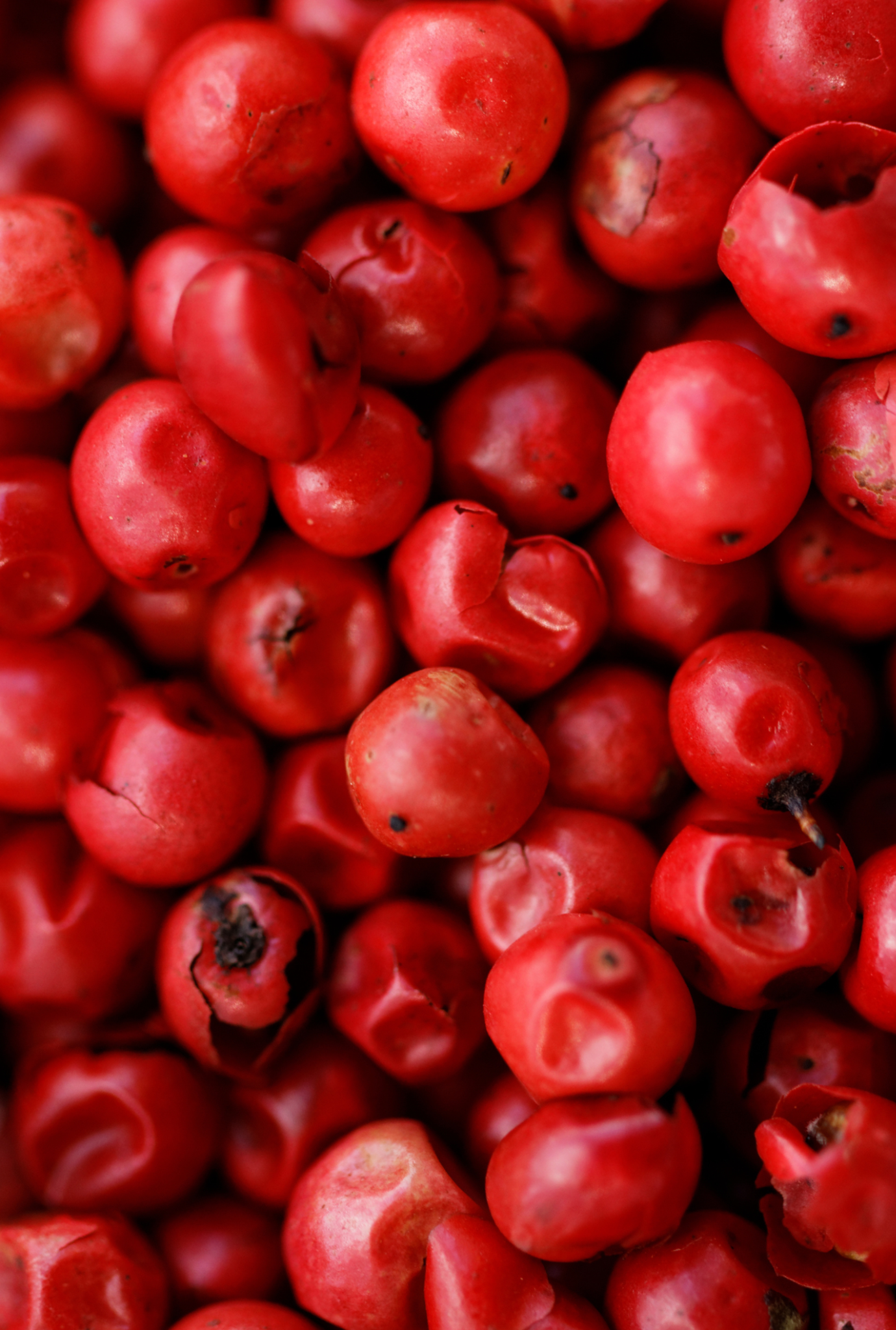 Pink Peppercorn Oil (LMR) – Nezéum
