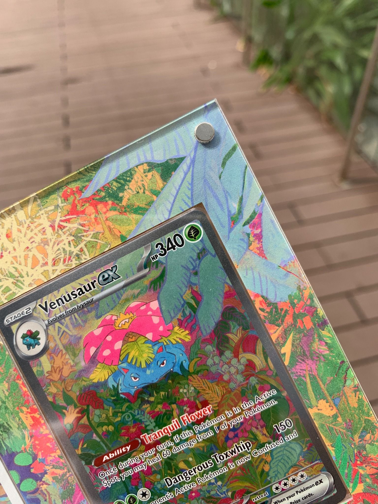 Khung 3 thẻ Bulbasaur, Ivysaur, and Venusaur 151 – Mazd Slab