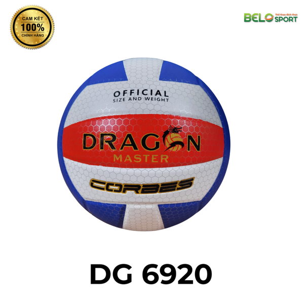 Quả Bóng Chuyền Da Thăng Long Dragon Master DG 6920