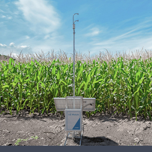 Water Node – DĨNH THÀNH