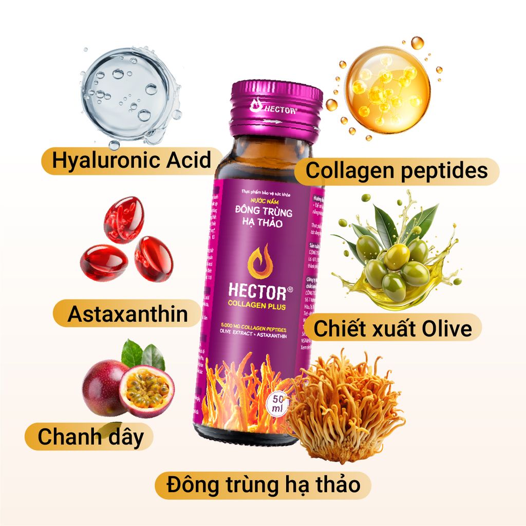 Nước nấm đông trùng hạ thảo Hector Collagen Plus