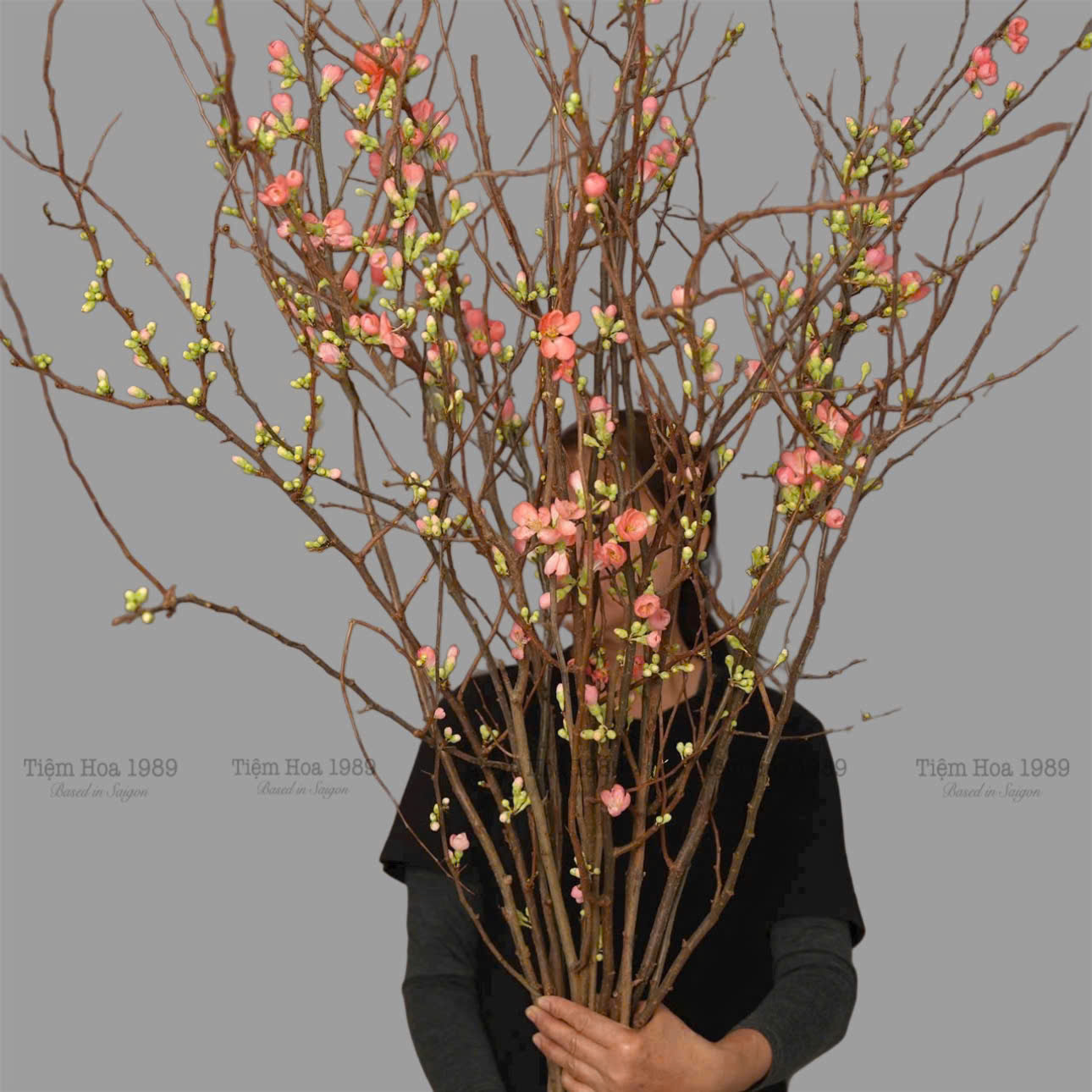 Đào Cam Chaenomeles Superba Hà Lan (Set 10 cành) – TIEMHOATUOI1989