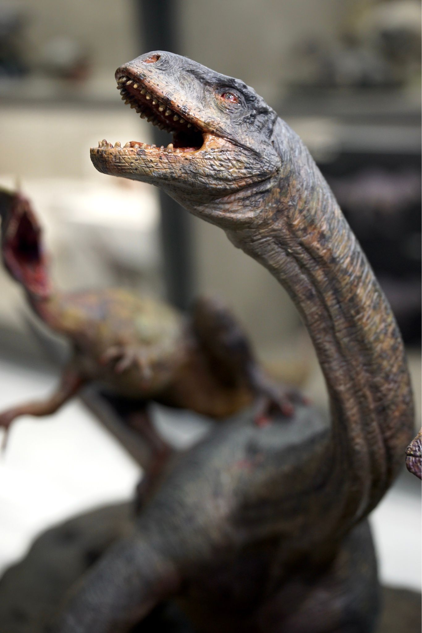 Mô hình sinosaurus vs luffengosaurus GK studio 1/20. – Vidino