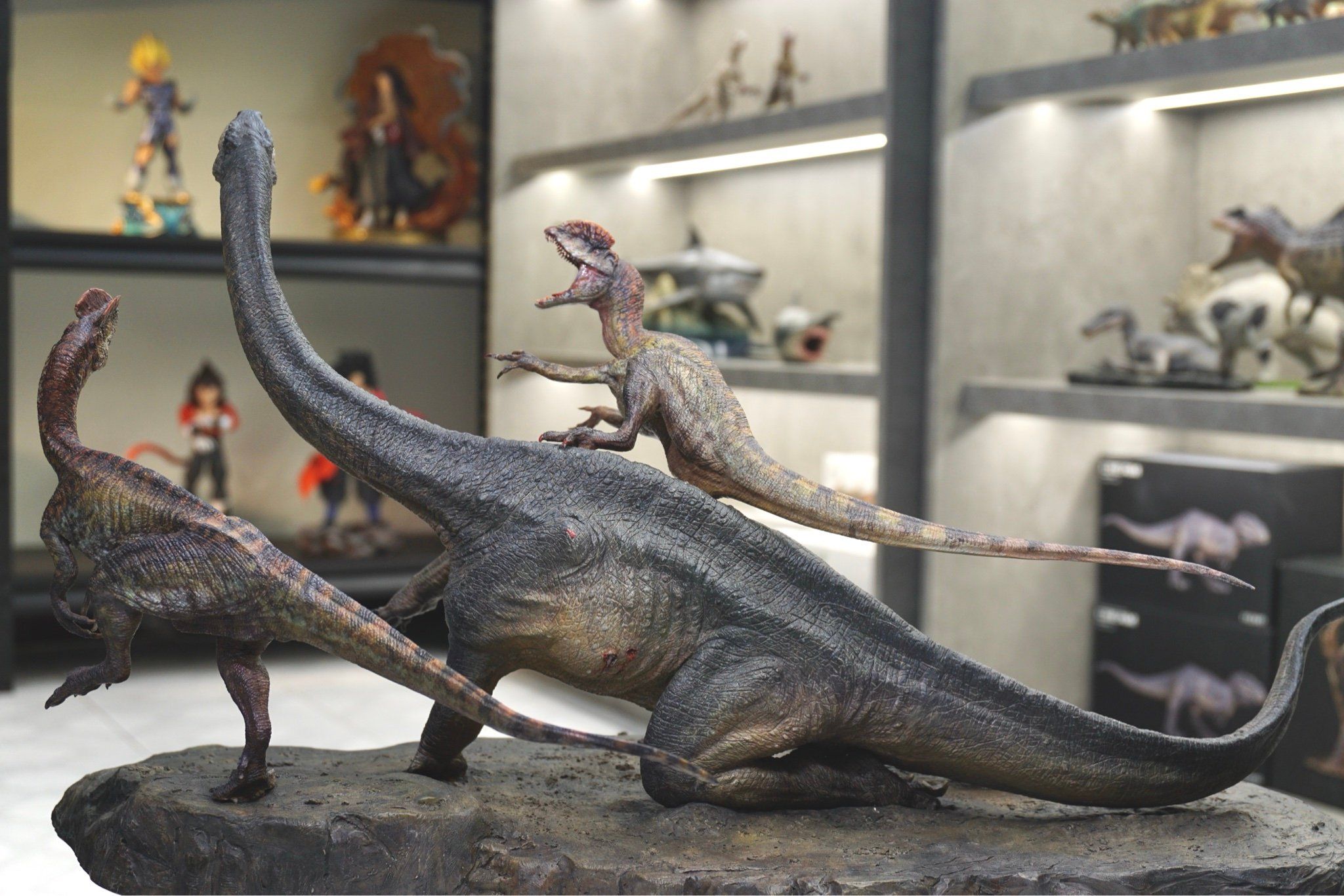 Mô hình sinosaurus vs luffengosaurus GK studio 1/20. – Vidino