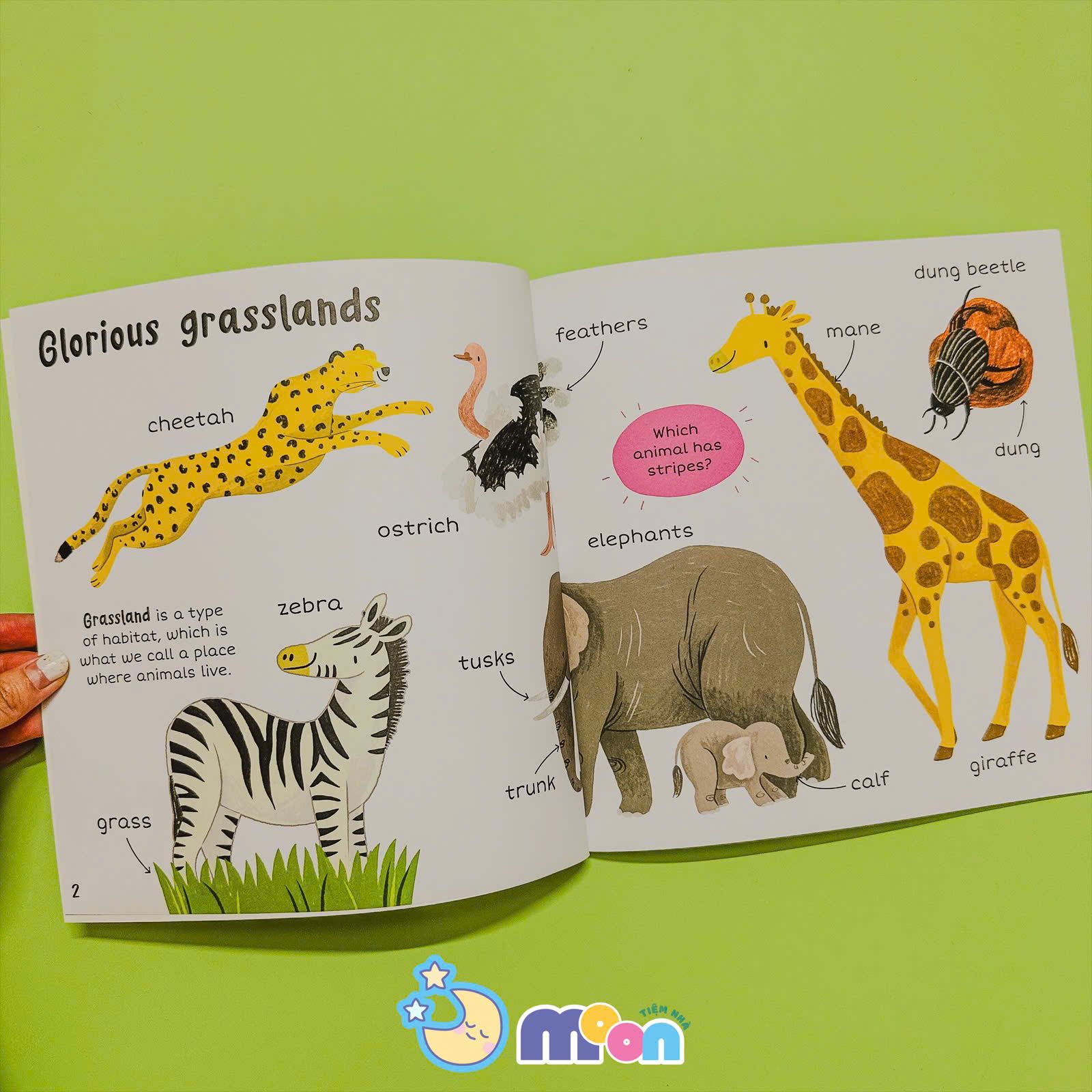 100+ First Words Animals - Miles Kelly – Tiệm Nhà Moon