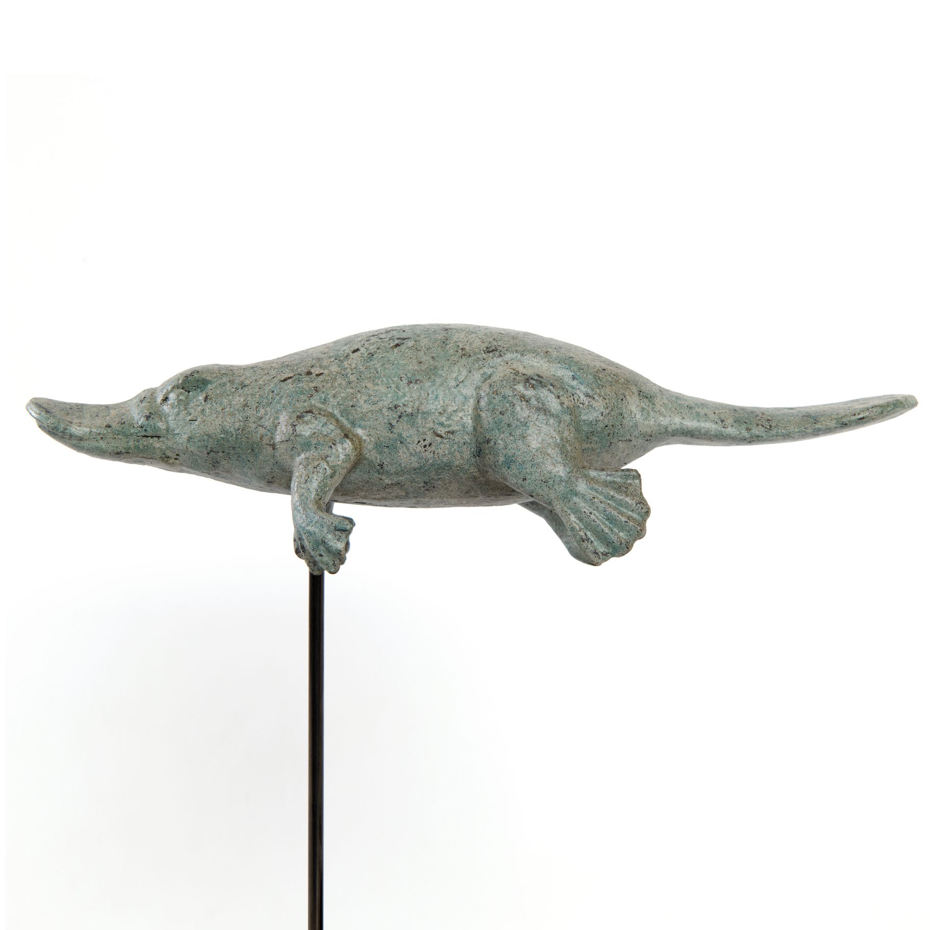 PERRY - DISPLAY PLATYPUS ON STAND– CIRCA Collections