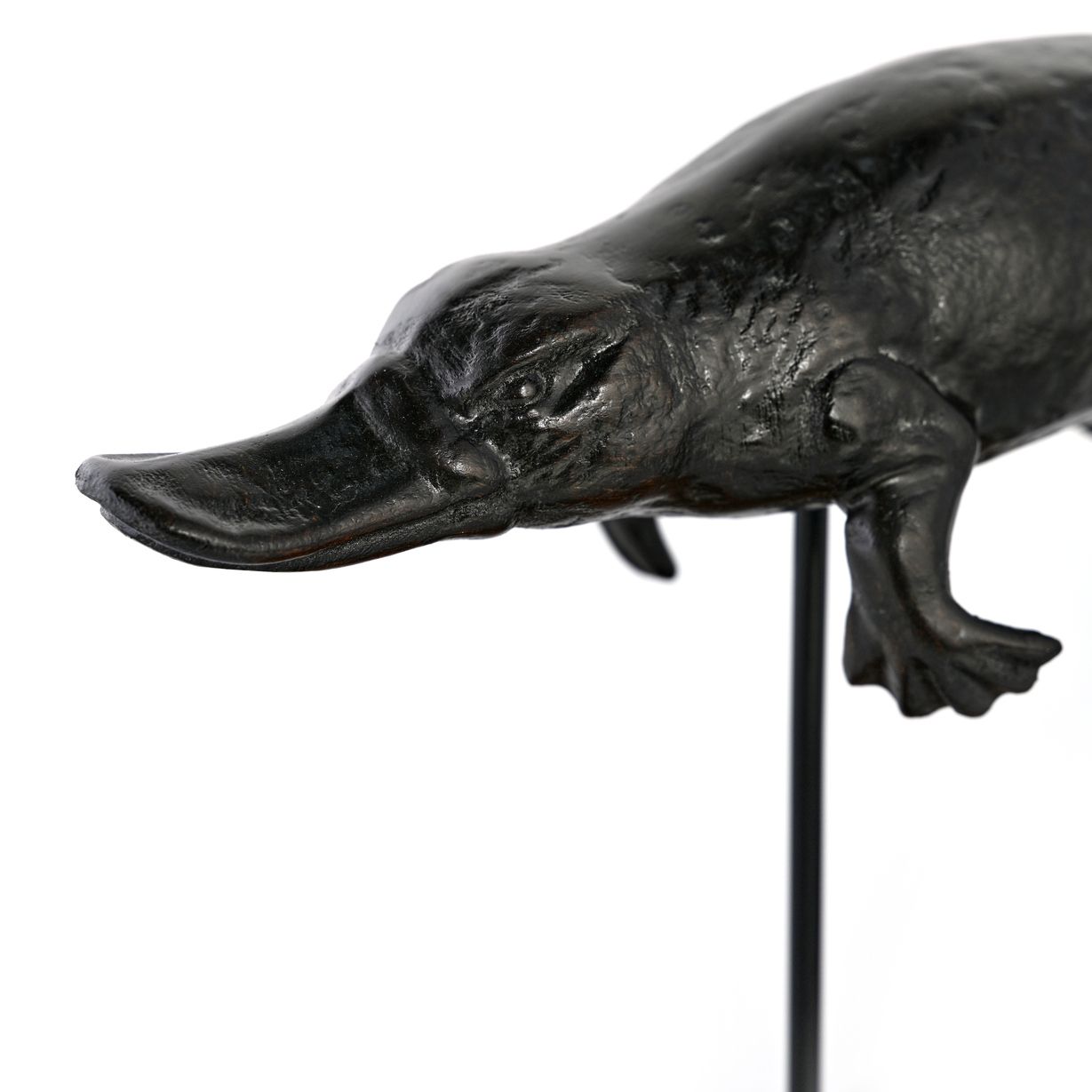 PERRY - DISPLAY PLATYPUS ON STAND– CIRCA Collections