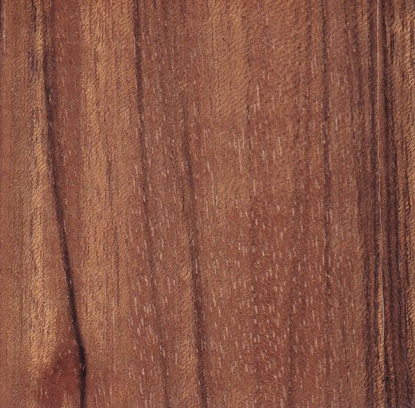 NATURAL TEAK VENEER - SAMPLE SWATCH– CIRCA Collections