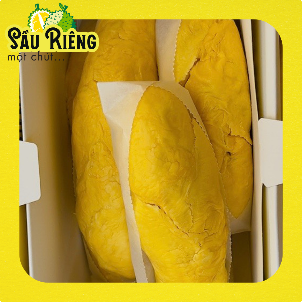 RiKing VietGap – Một Chút Sầu Riêng