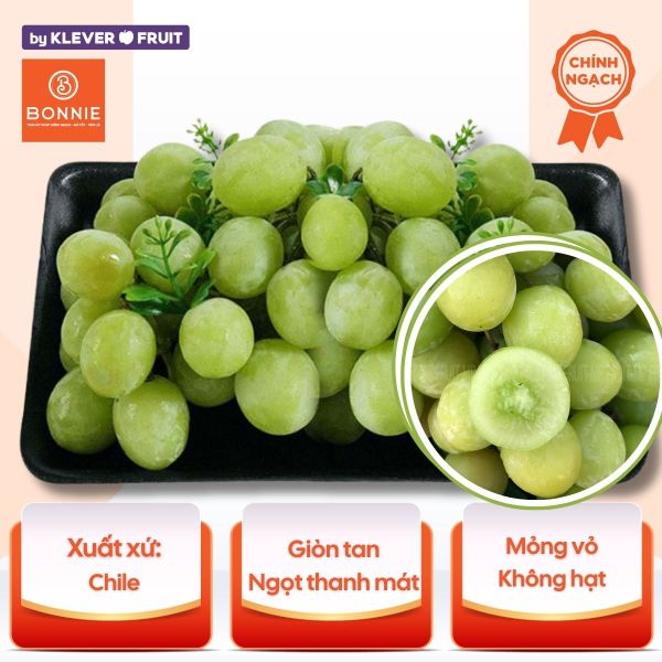 Nho Xanh Không Hạt Chile – Nho Nhập Khẩu Giòn Ngọt, Quà Tặng Ý Nghĩa – Bonnie Fruit