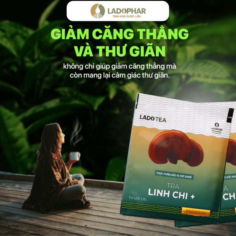 Lado Tea trà Linh chi+
