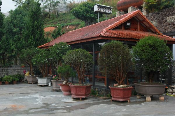 Cẩm Tú Cầu Home - SDV151 – StayDaLat